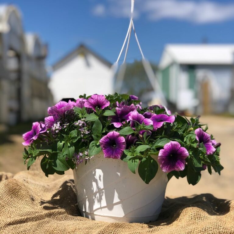 Donation Requests - Von Thun Farms